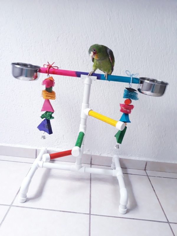 PIES y PERCHAS para Loros 】 PALOS para loros Limauñas y Java