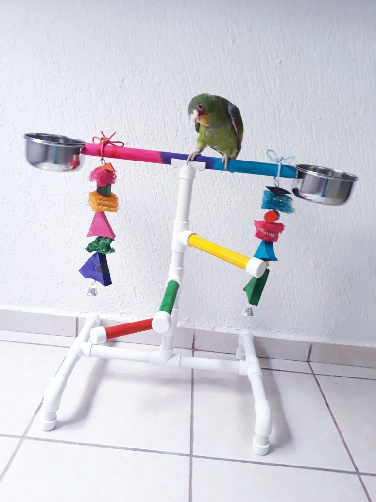 PIES y PERCHAS para Loros 】 PALOS para loros Limauñas y Java