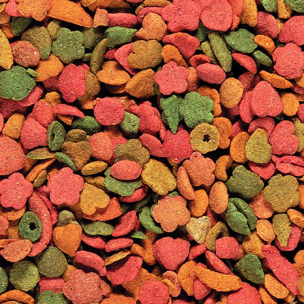 PIENSO y COMIDA para Loros 】 Alimento Loros - Tienda Loros