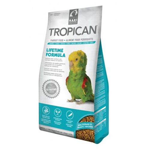 PIENSO y COMIDA para Loros 】 Alimento Loros - Tienda Loros
